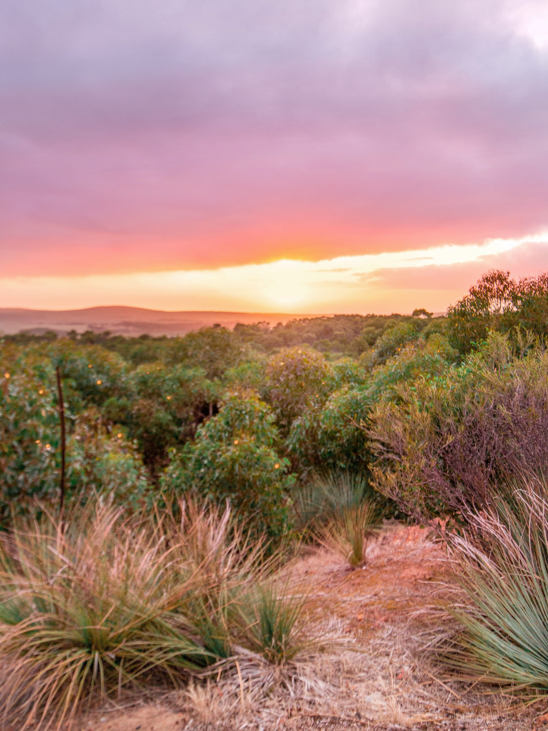 Helen Janneson Bense: I left my ♡ in SA